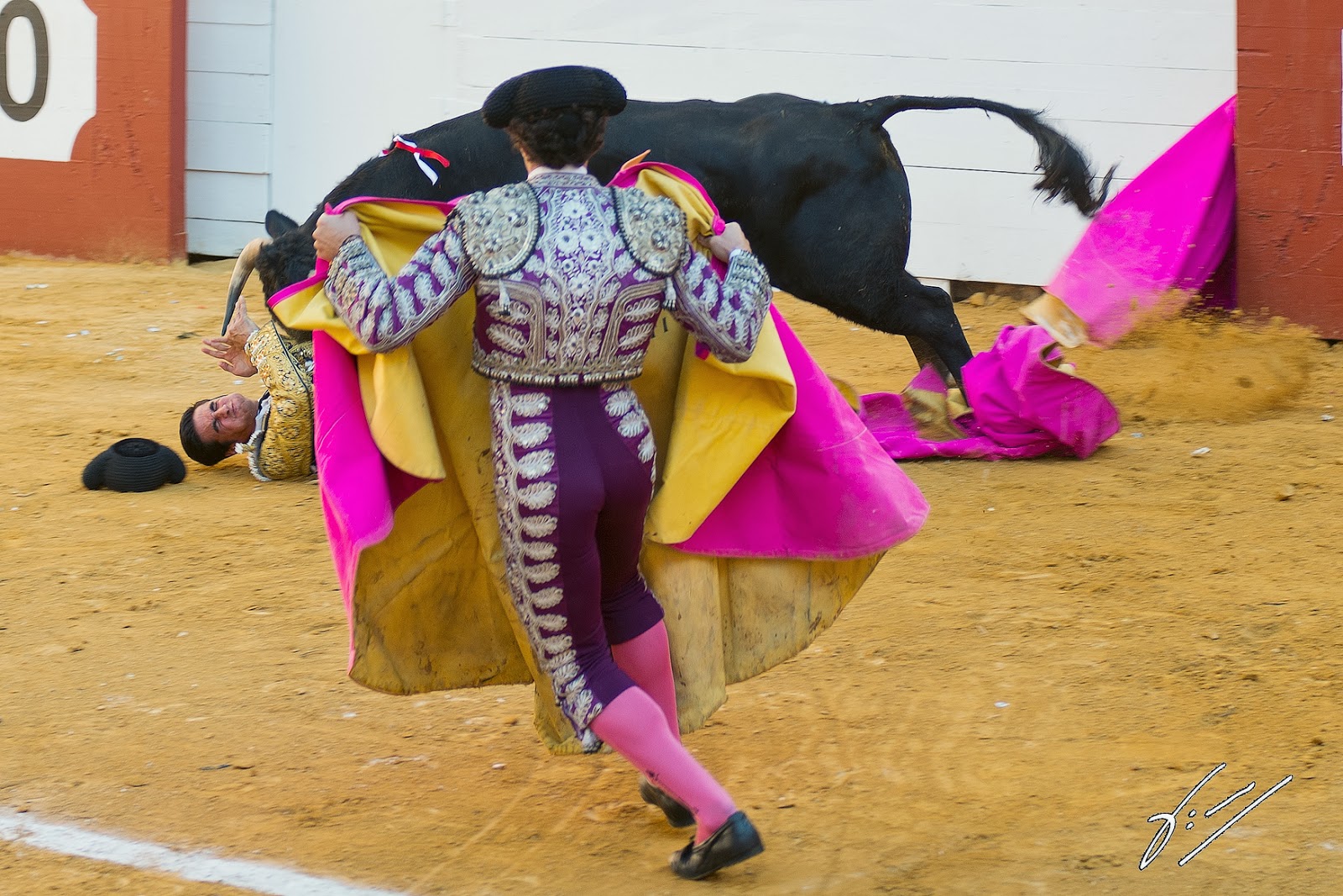 Jorge Expósito: “A cara o creu” – Fotoaficionats Algemesí